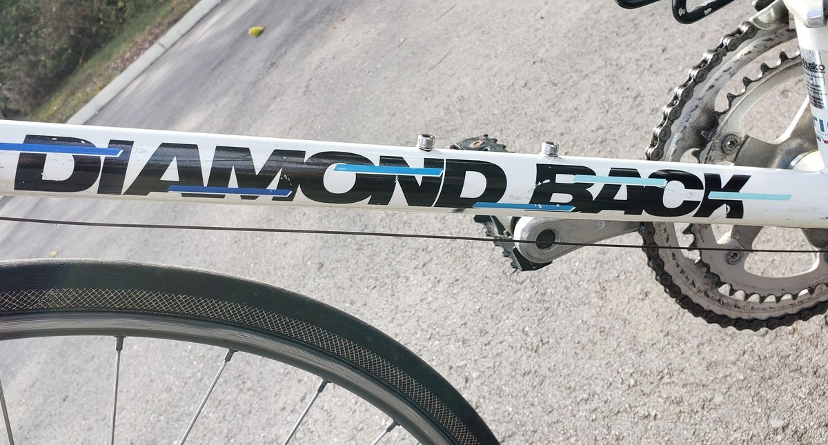 1990 Diamondback Expert TG Centurion