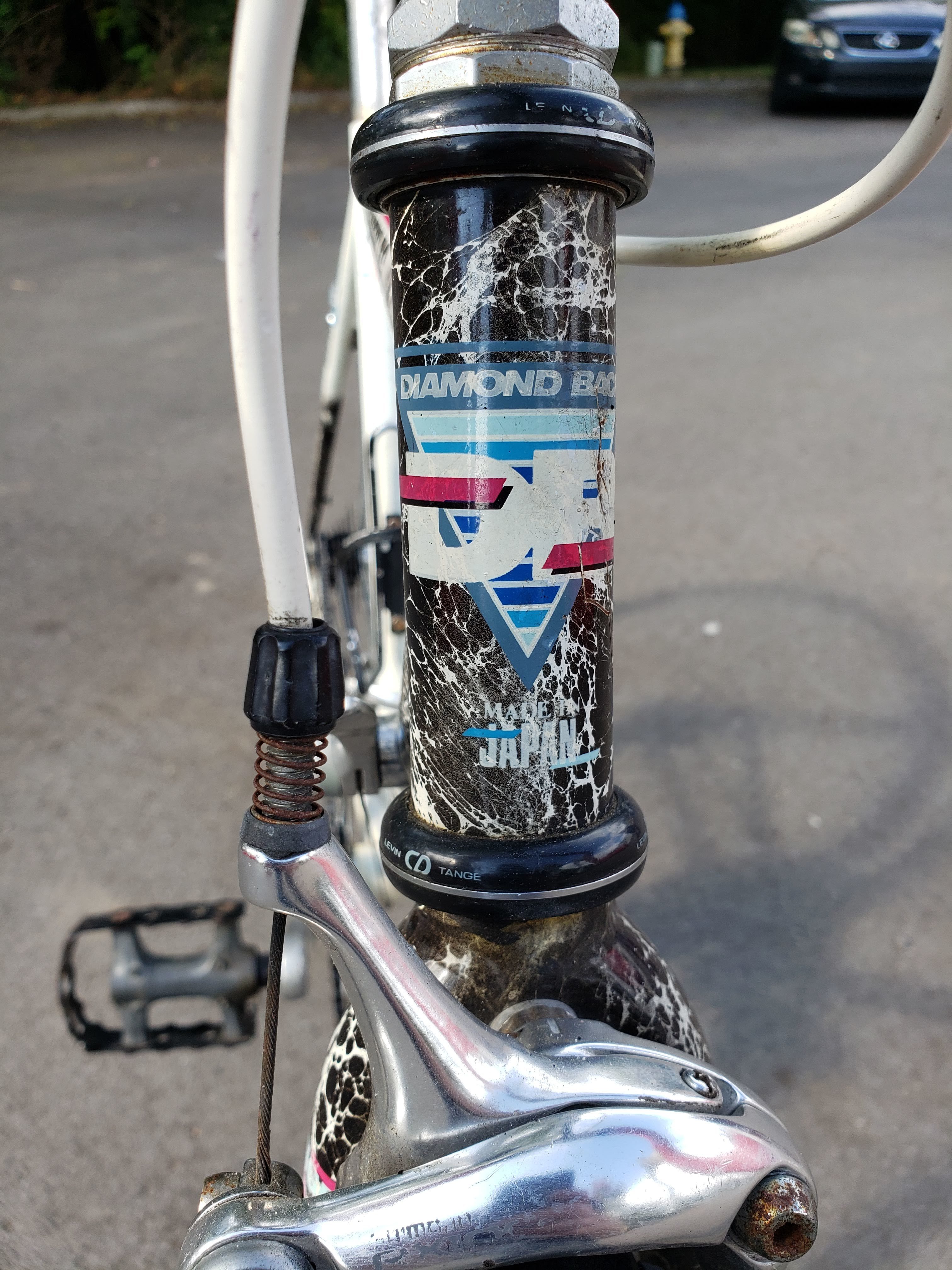 1990 Diamondback Expert TG Centurion