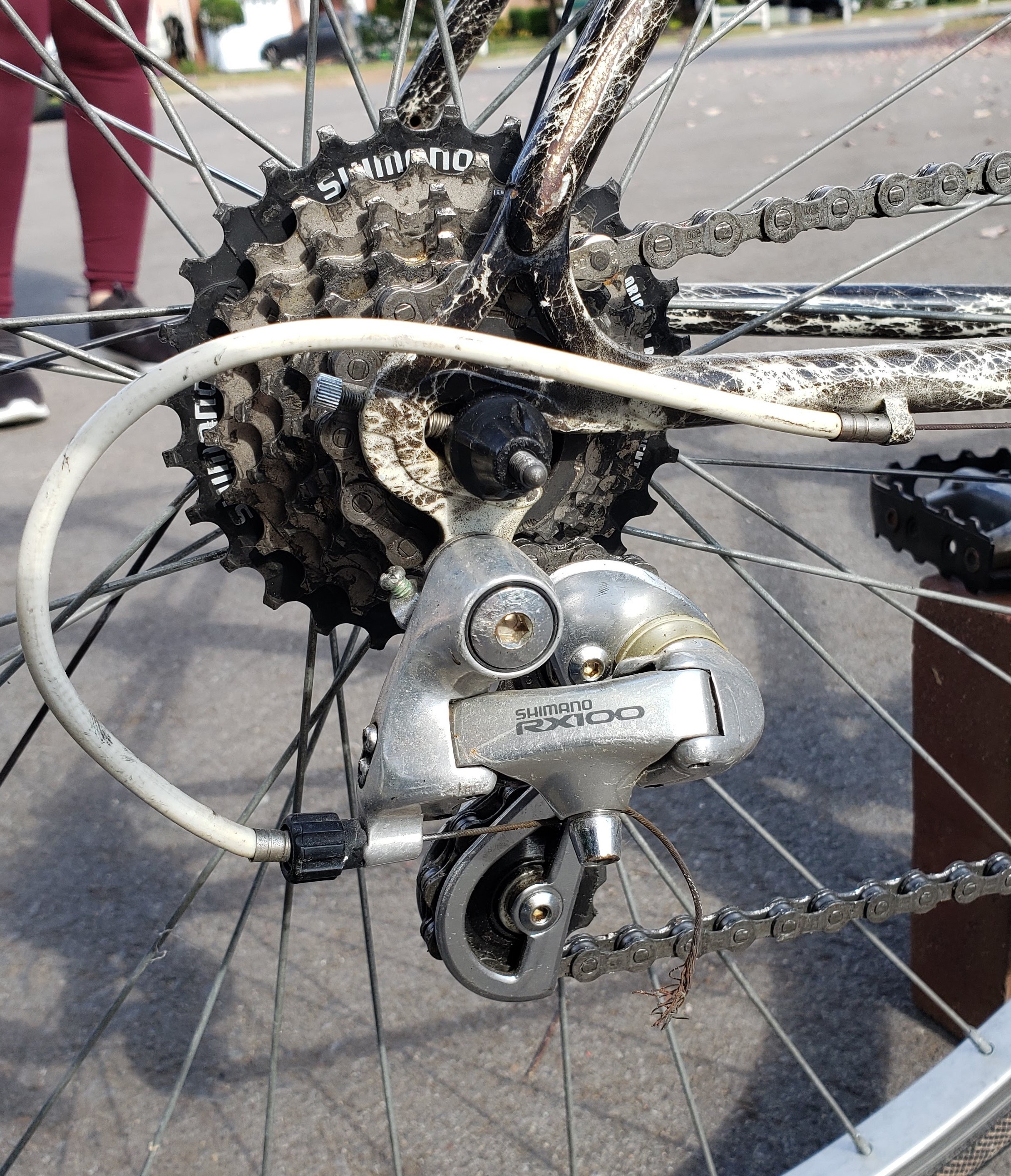 1990 Diamondback Expert TG Centurion