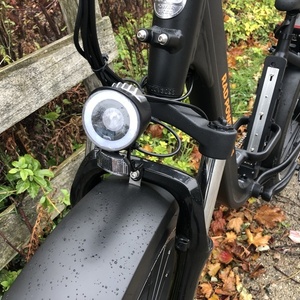 2020 Rad Power Bikes RadRover Step-Thru 1