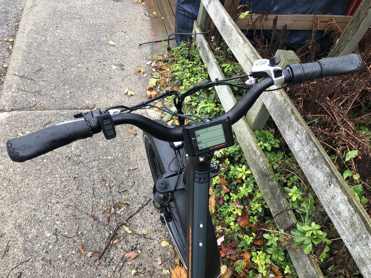 2020 Rad Power Bikes RadRover Step-Thru 1