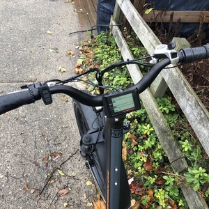 2020 Rad Power Bikes RadRover Step-Thru 1