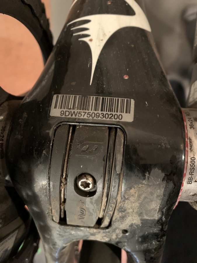 2019 Pinarello Prince