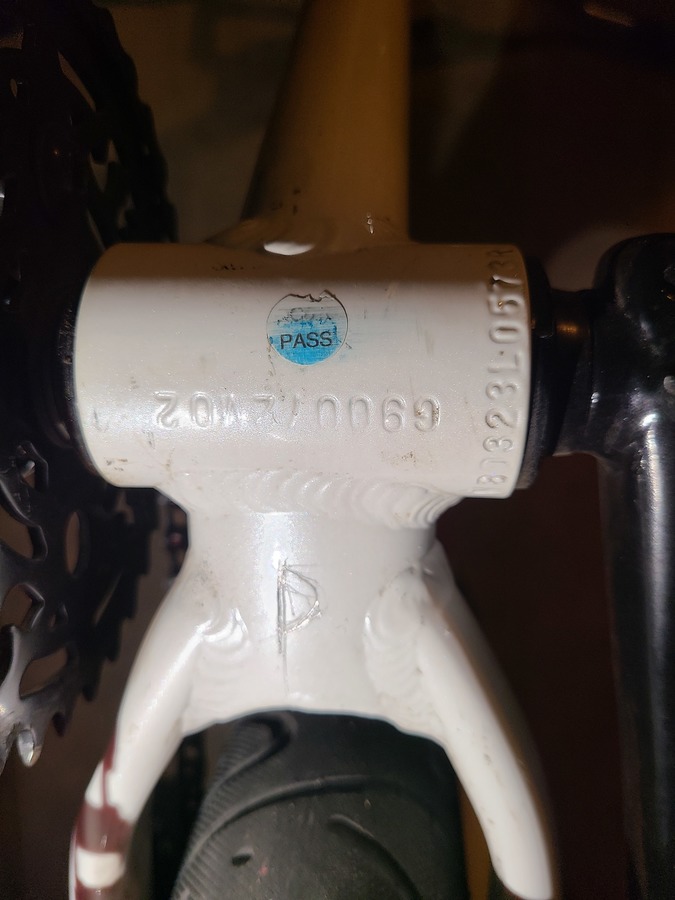 2020 SE Bikes Big flyer