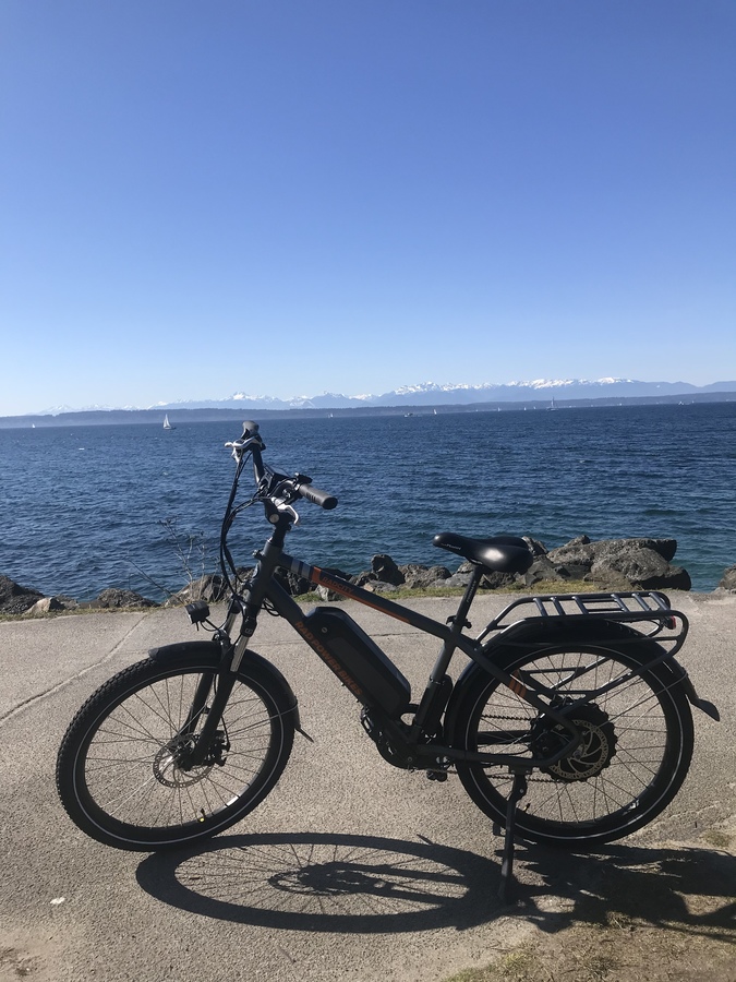 2019 Rad Power Bikes Rad City