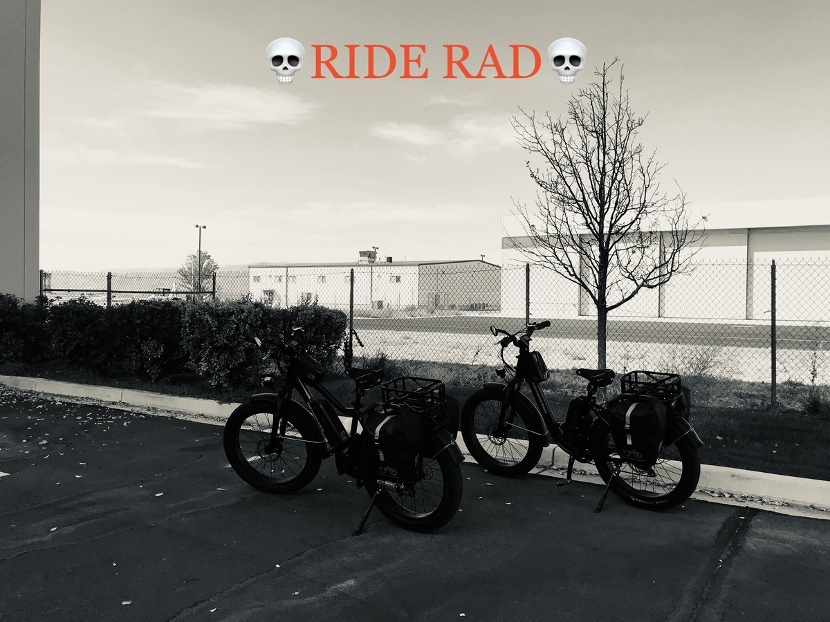 2020 Rad Power Bikes Rad Rover 5 Electric Fat Bike