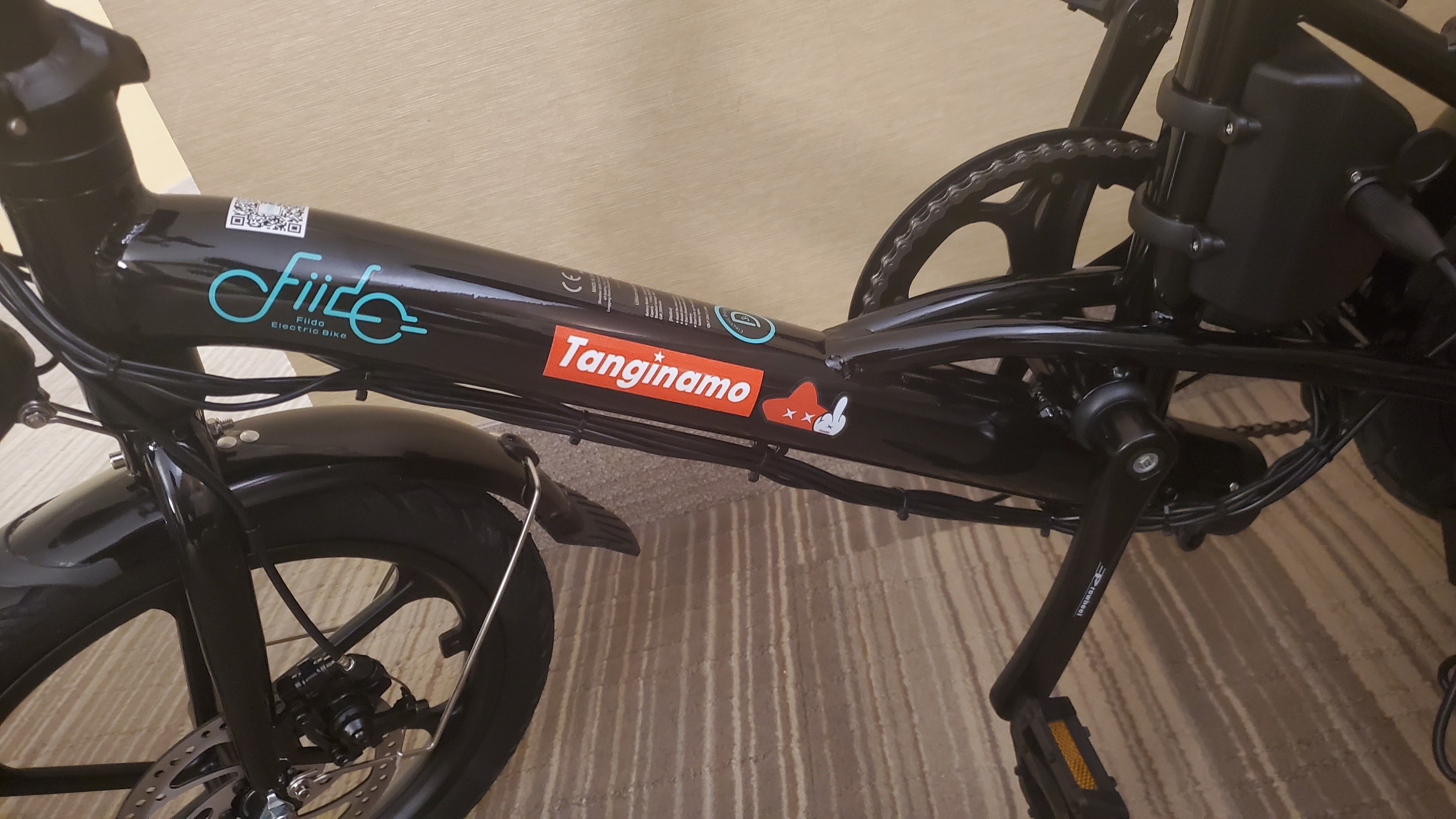 2020 Fiido Electric Bike Fiido D3s