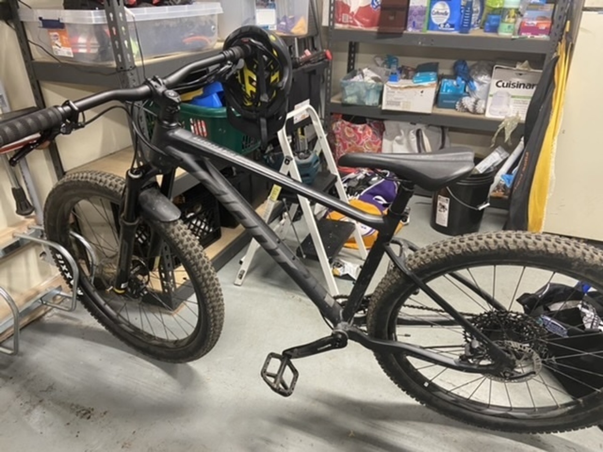 2020 Giant Fathom 2