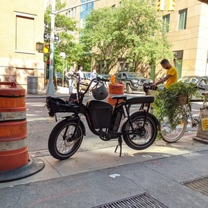 Stolen 2020 Rad Power Bikes RadRunner cargo bike (front storage)