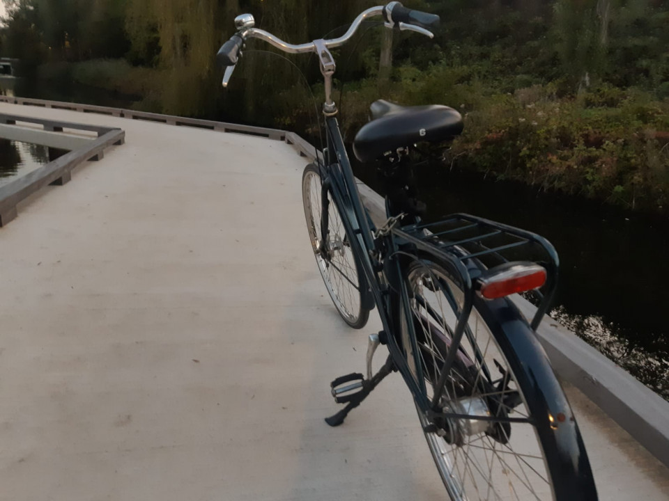 Batavus Batavus Stabilo City SUV