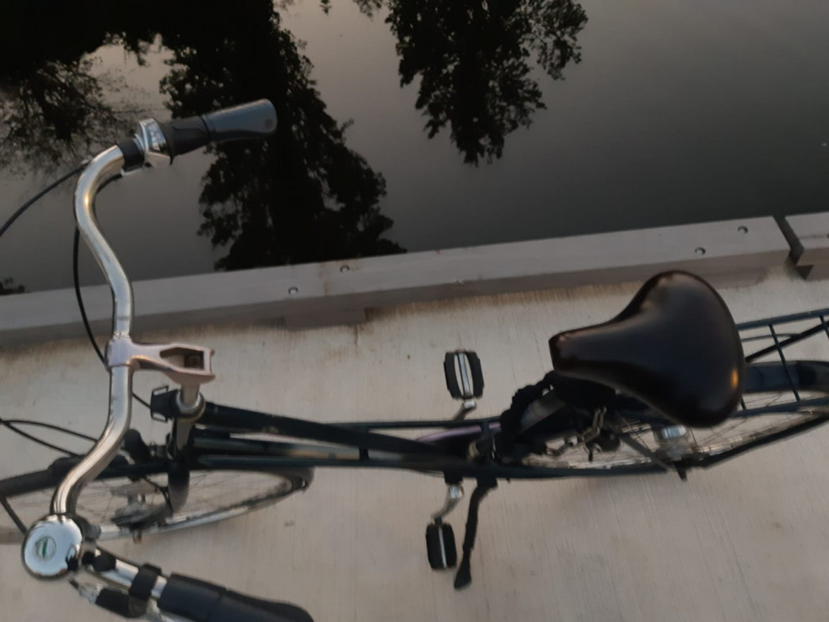 Batavus Batavus Stabilo City SUV