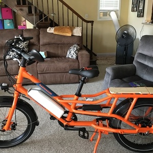 2020 Rad Power Bikes Rad Wagon 4