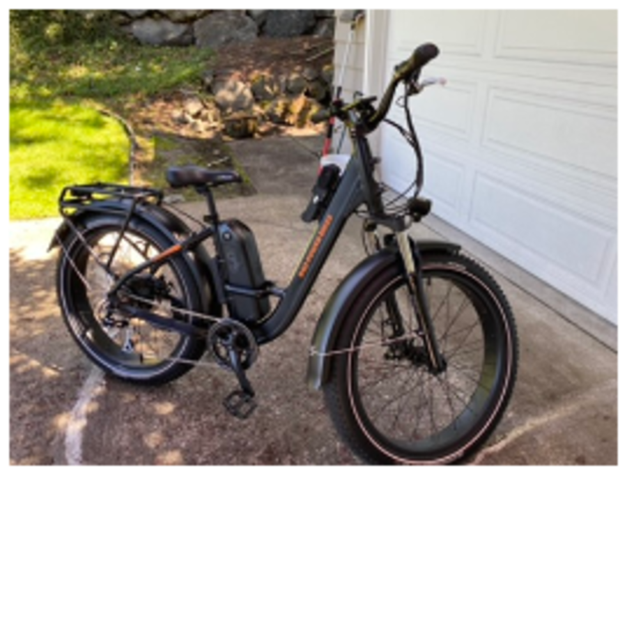 2020 Rad Power Bikes Rover Step Thru