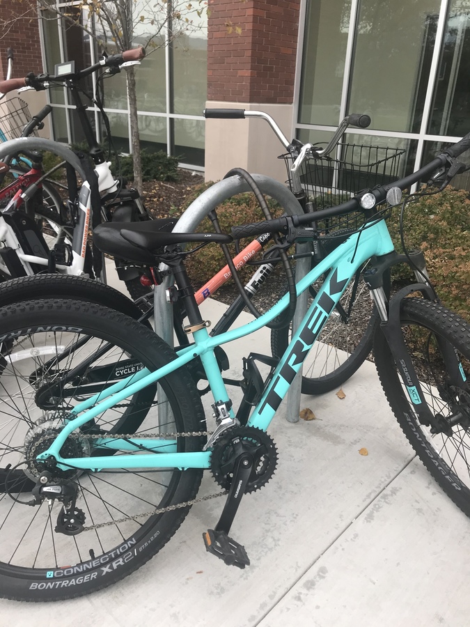 2018 Trek