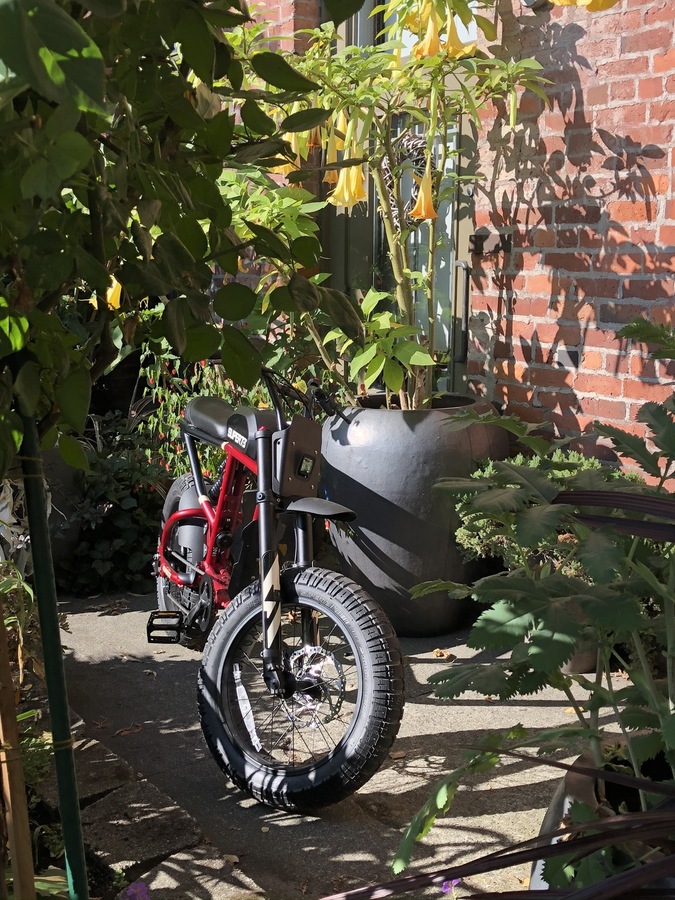 Stolen 2020 Super 73 RX