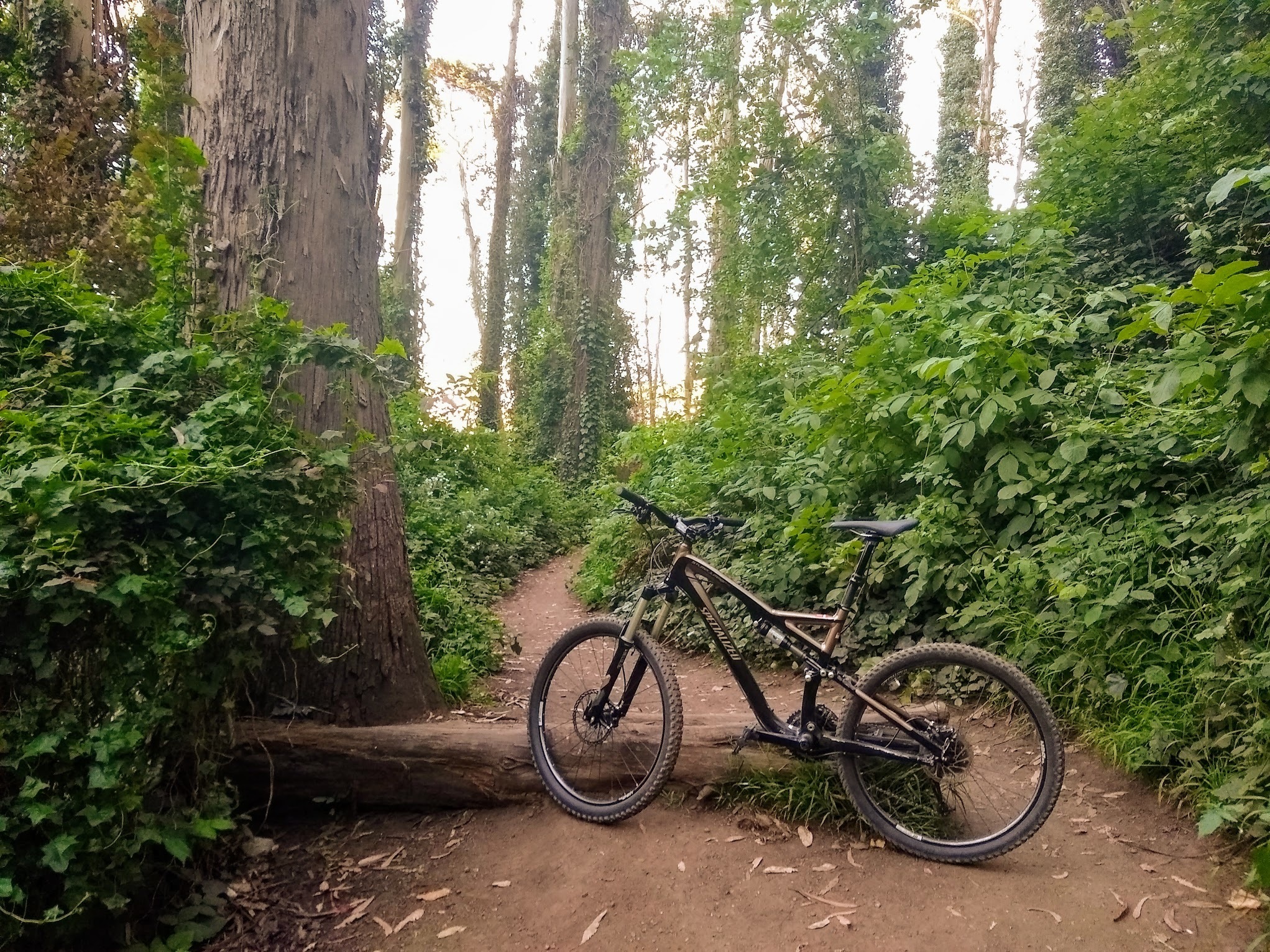 2010 Specialized Stumpjumper FSR Comp