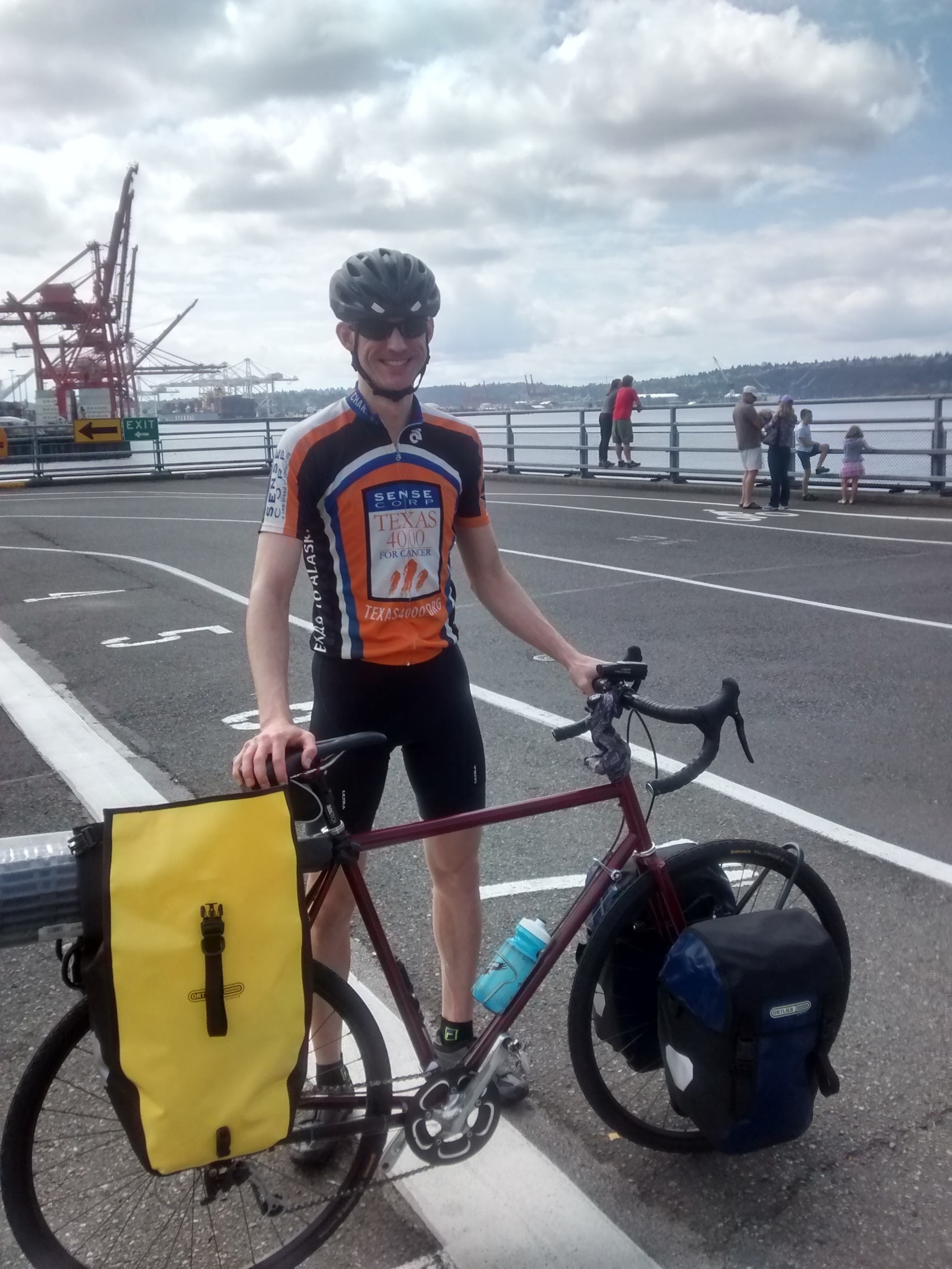 2014 Surly Disc Trucker