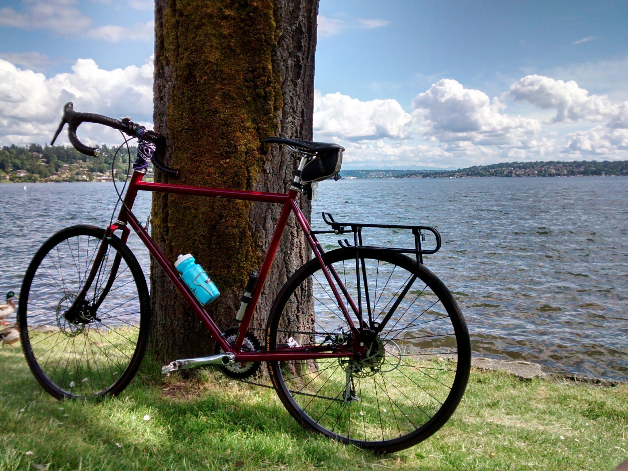 2014 Surly Disc Trucker