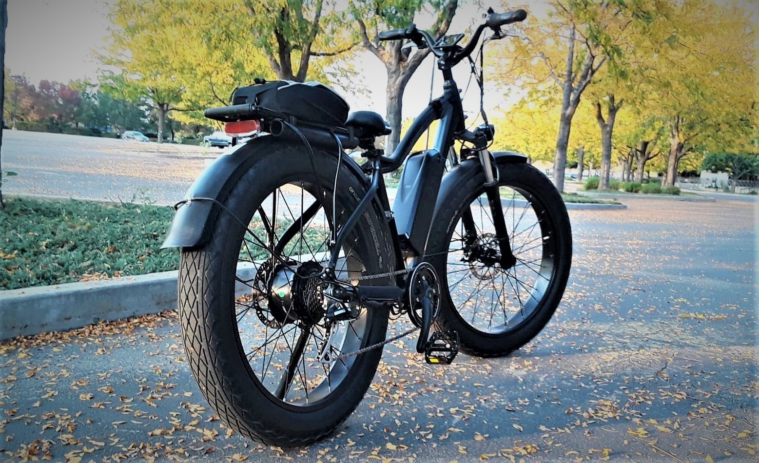 2020 Rad Power Bikes Rover