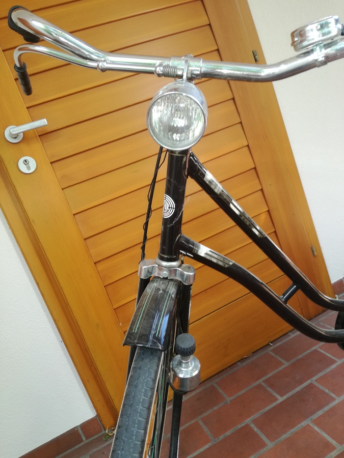 Stolen 1980 Waffenrad (Steyr-Daimler-Puch factory in Austria) beach cruiser