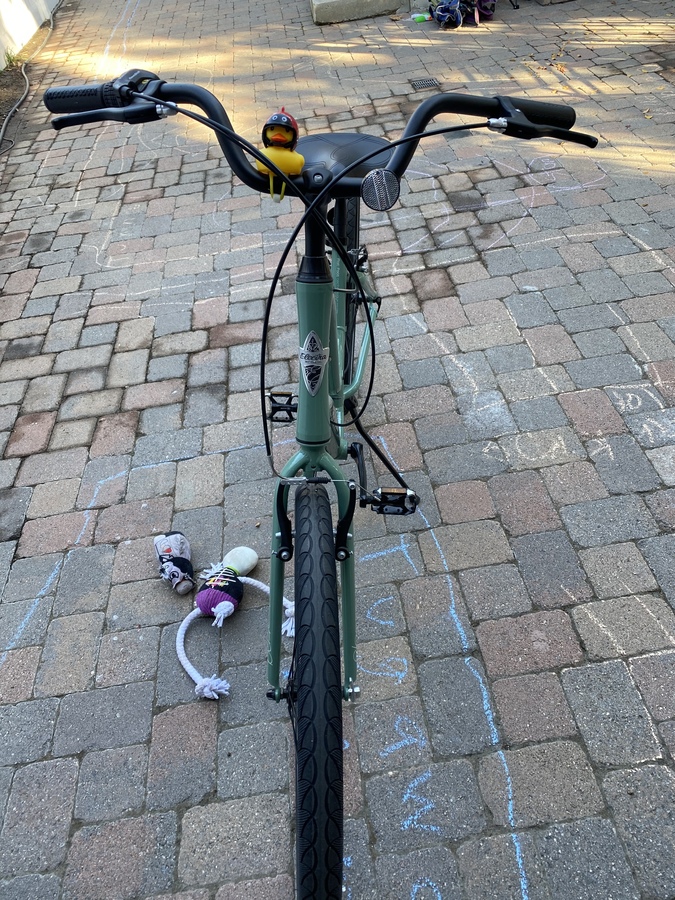 2020 Electra Townie 7