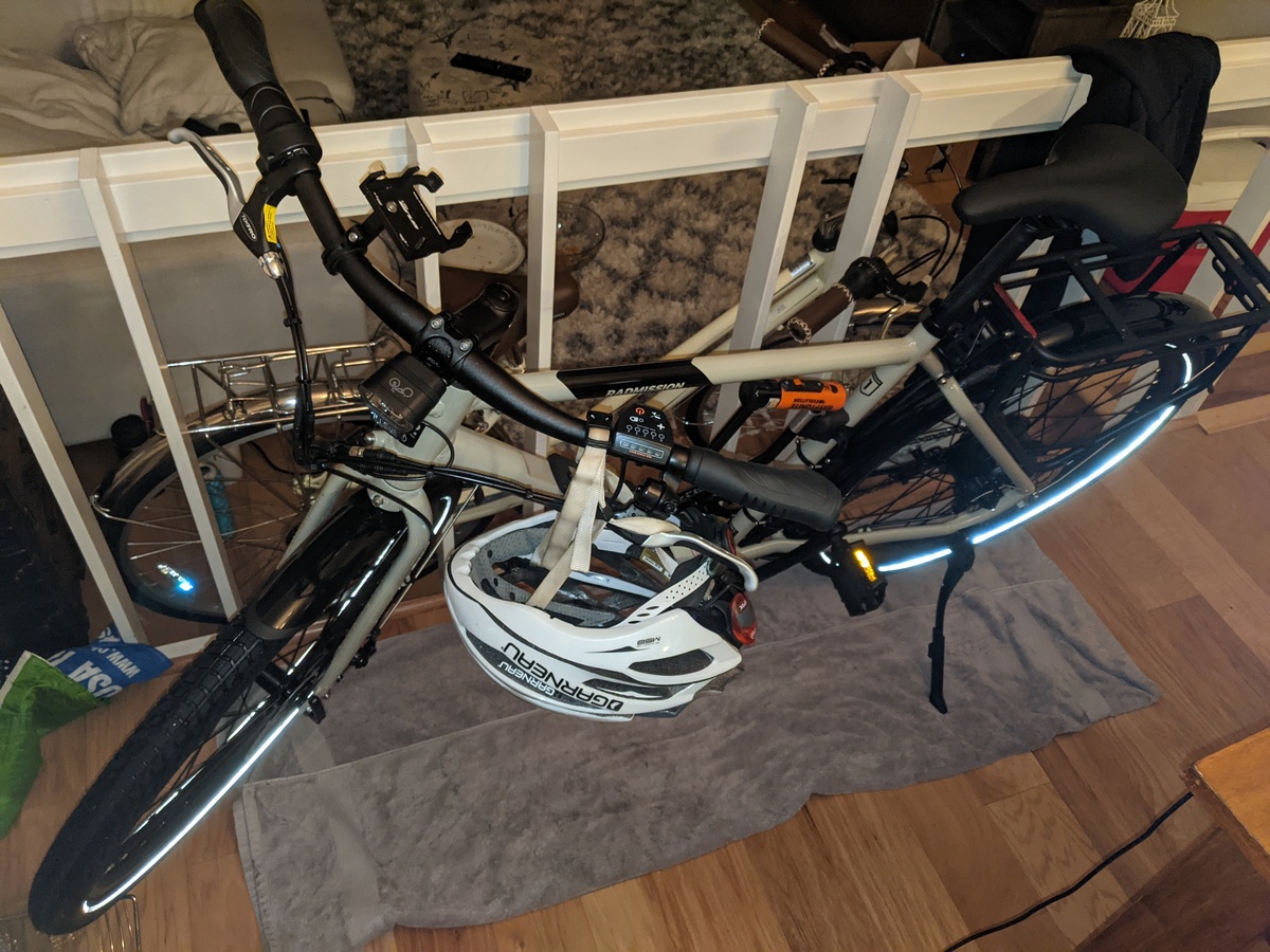 2020 Rad Power Bikes RadMission 1