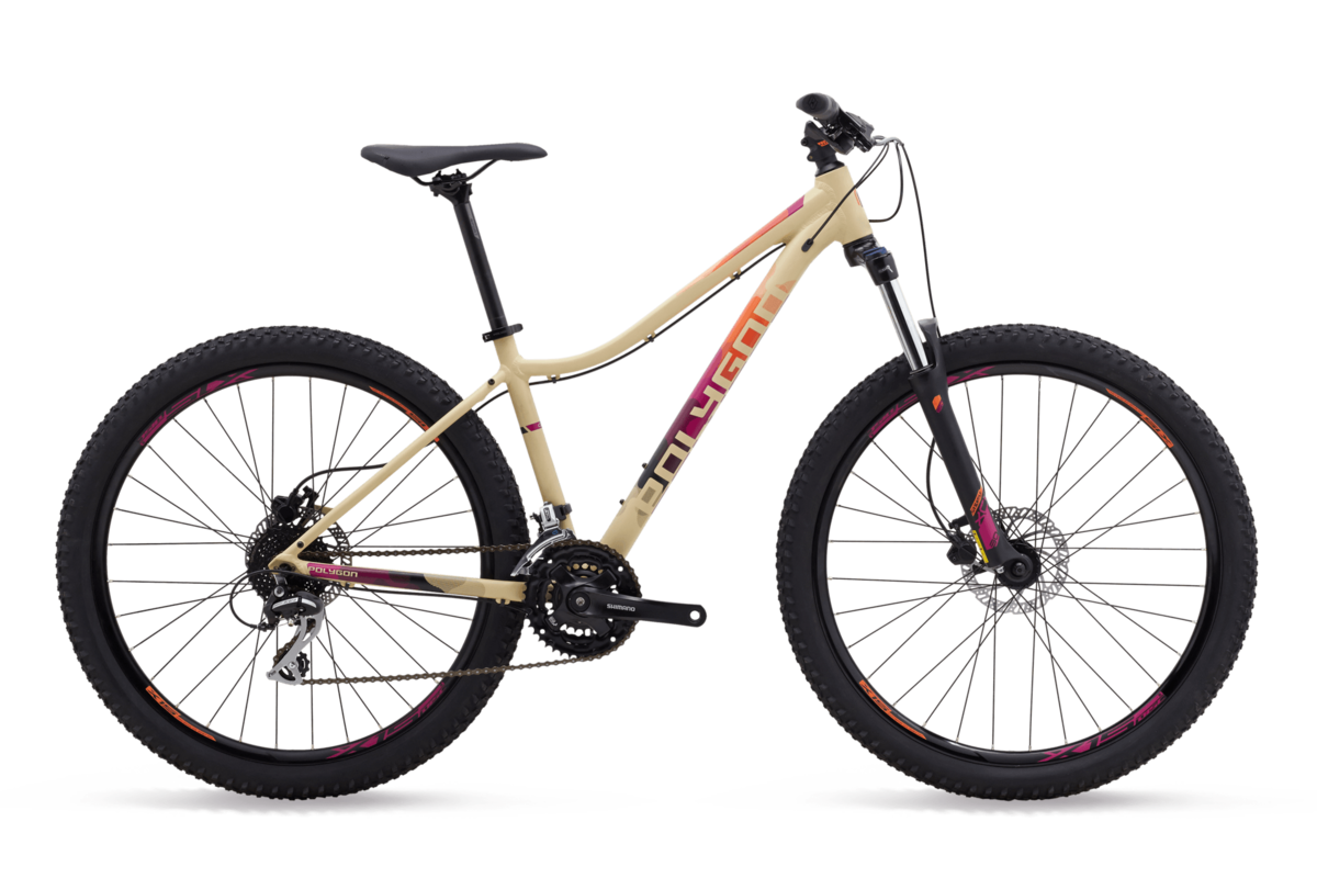 Stolen 2020 Polygon Cleo 2
