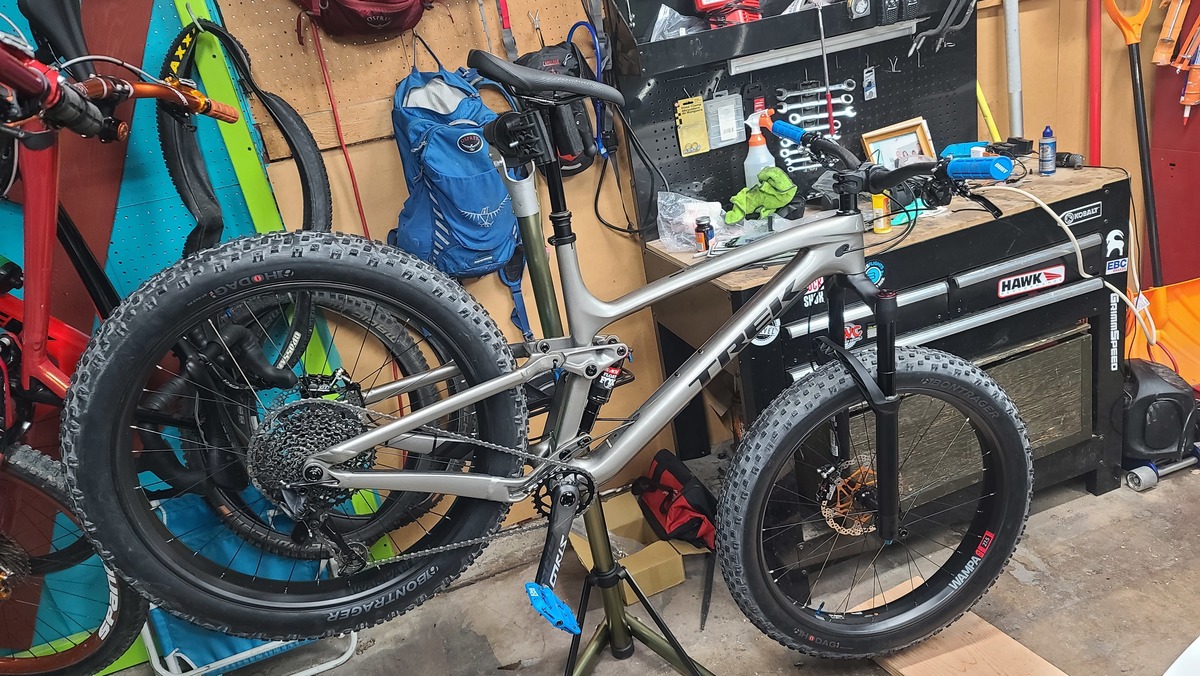 2020 Trek Farley EX
