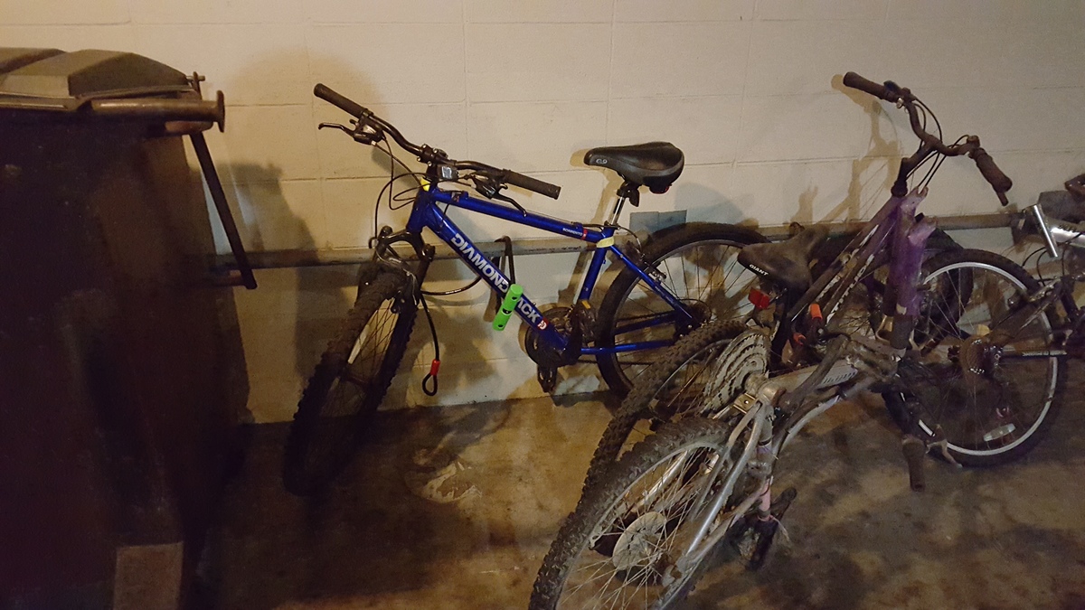 Diamondback Sorrento DB78