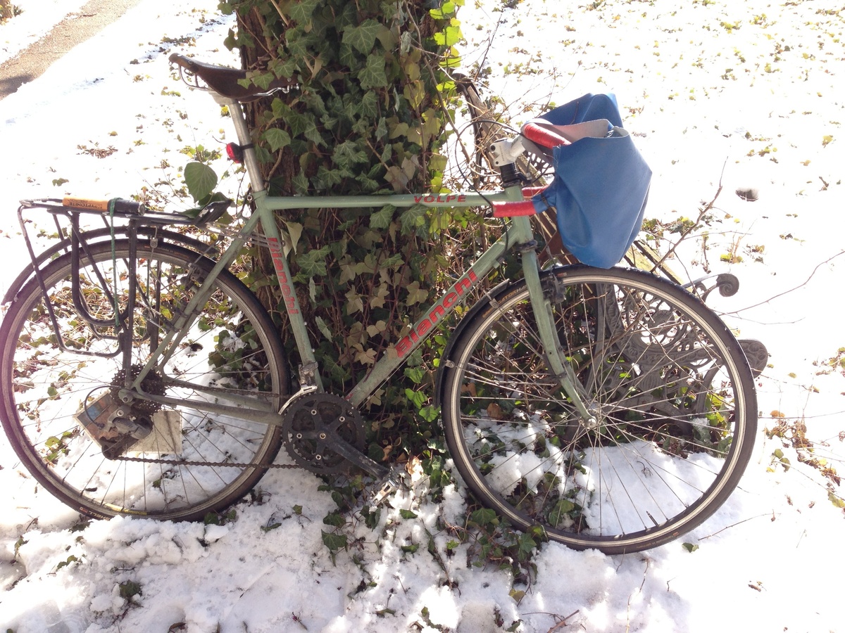 Bianchi Volpe