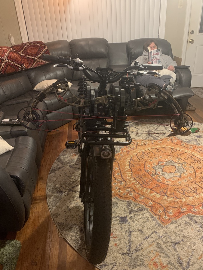 2020 Rad Power Bikes Rad Rover ST