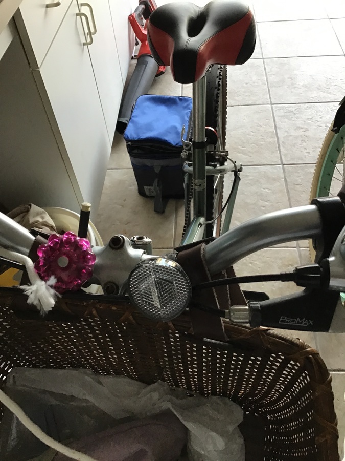 Raleigh Sport Comfort (SC30)