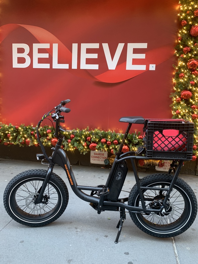 2020 Rad Power Bikes RadRunner cargo bike rear