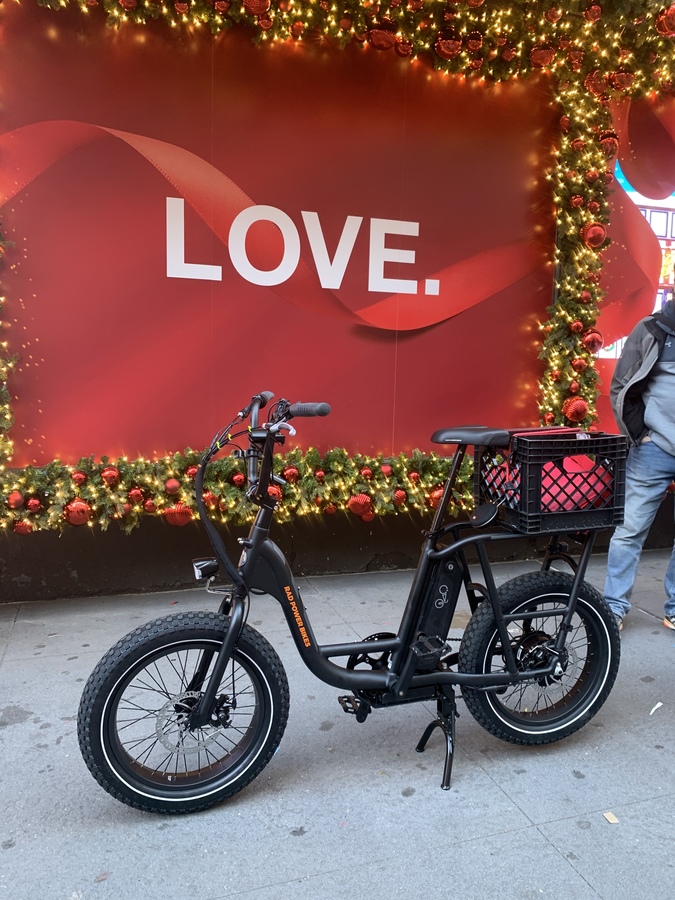 2020 Rad Power Bikes RadRunner cargo bike rear