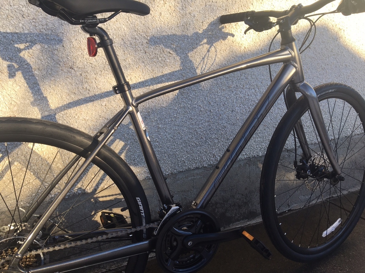 2021 Giant Escape 3 Disc Bike Medium Metallic