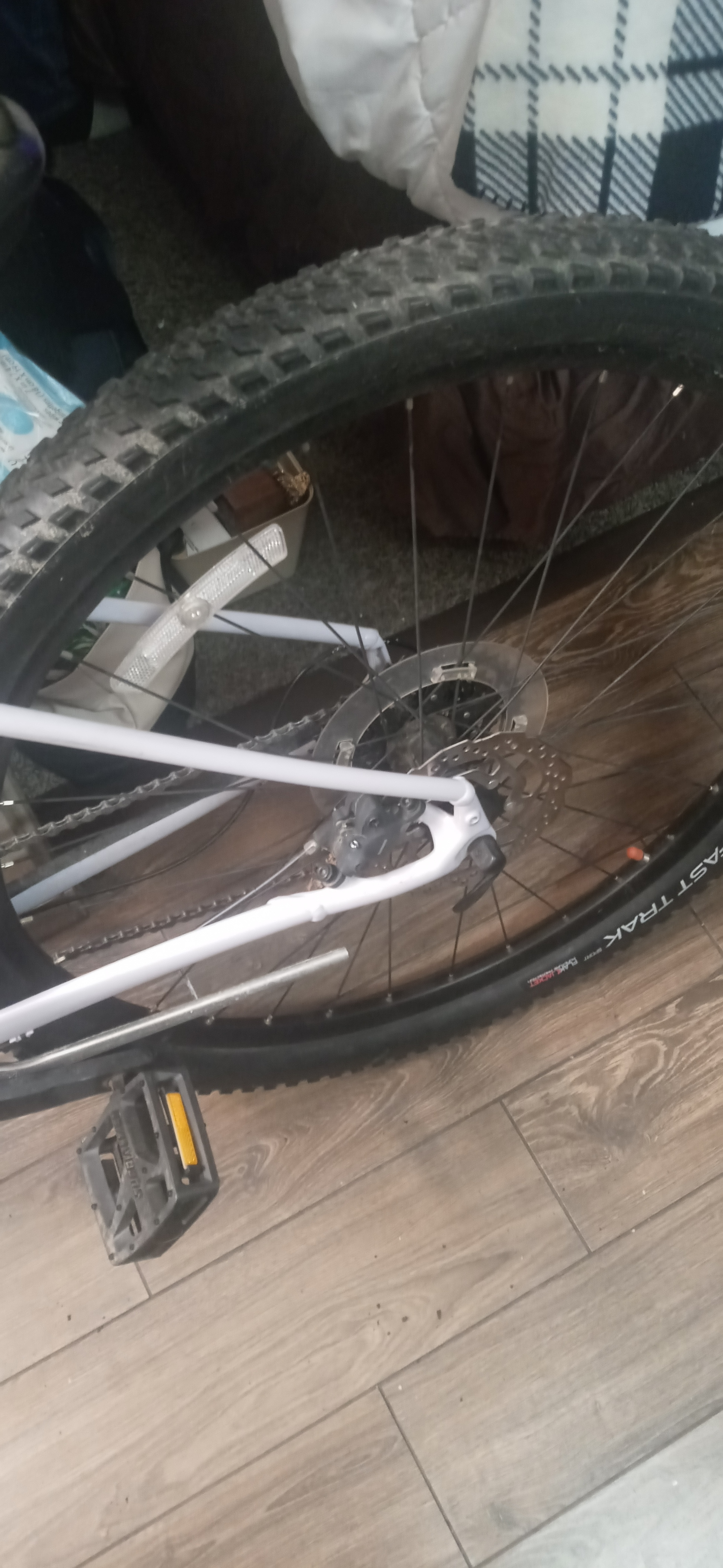 2019 Specialized RockHopper