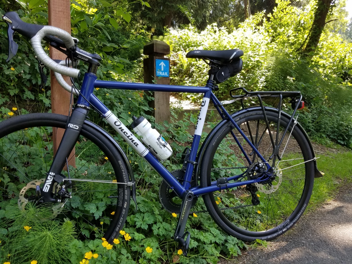 2019 Custom steel with carbon fiver fork