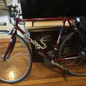 Serotta Atlanta - Colorado CS3 steel frame