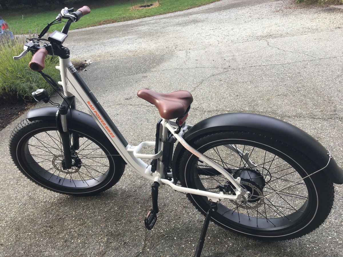 2020 Rad Power Bikes RadRover Step-Thru 1