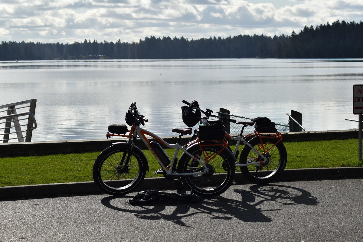 2018 Rad Power Bikes Rad Rover