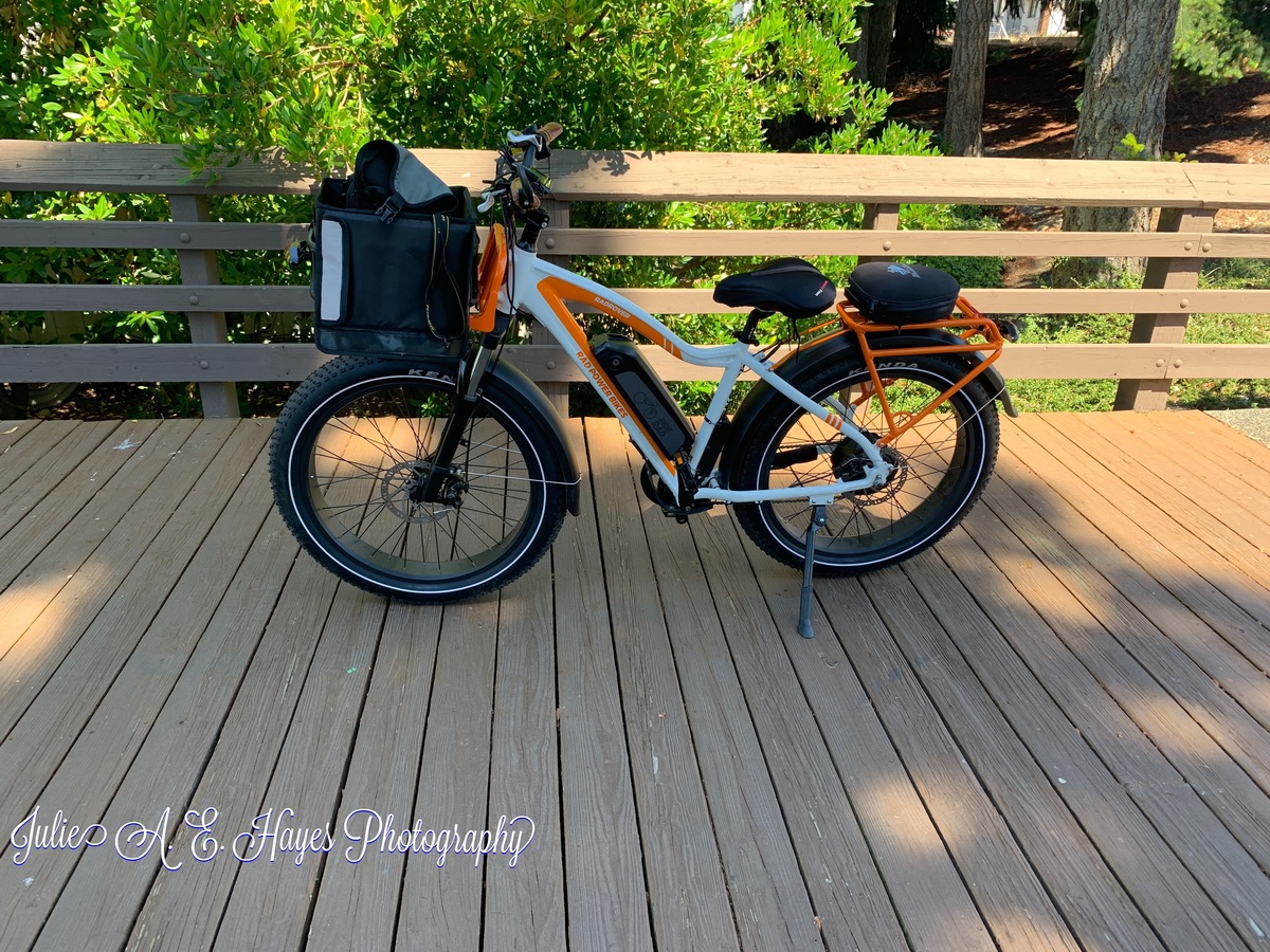 2019 Rad Power Bikes Rad Rover