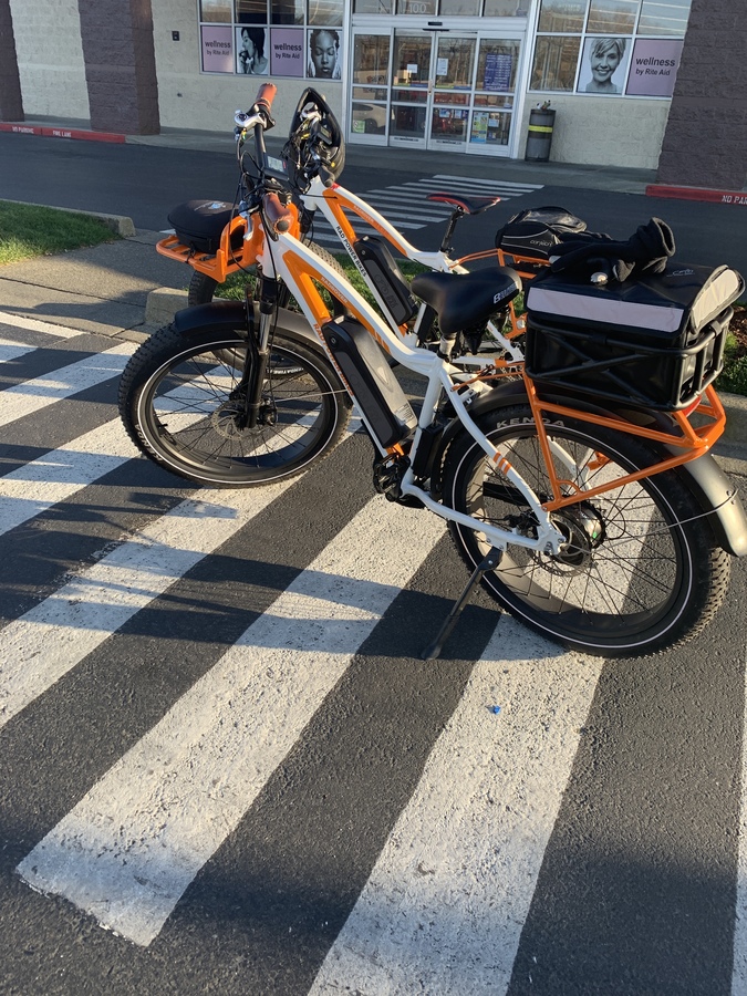 2019 Rad Power Bikes Rad Rover