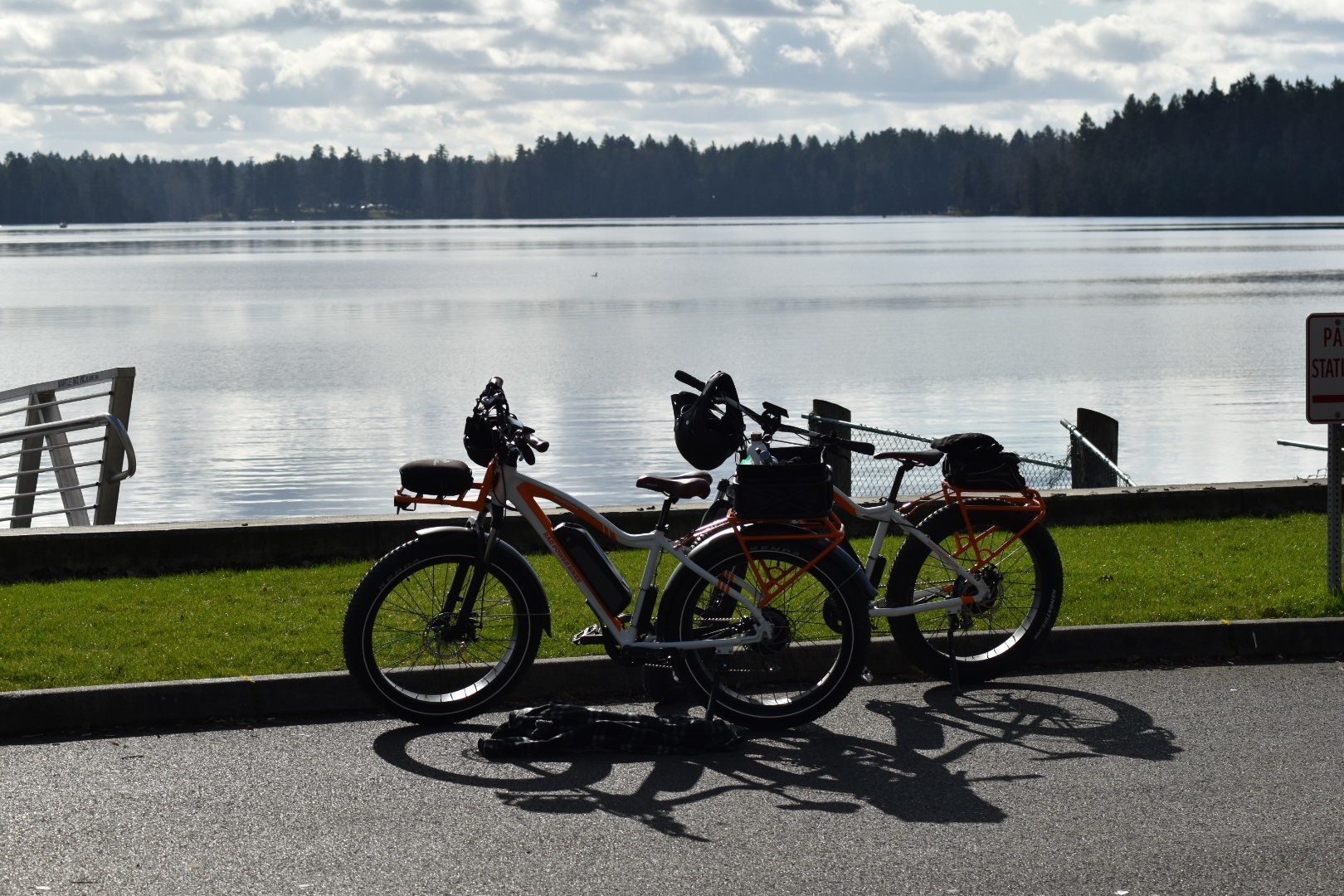 2019 Rad Power Bikes Rad Rover