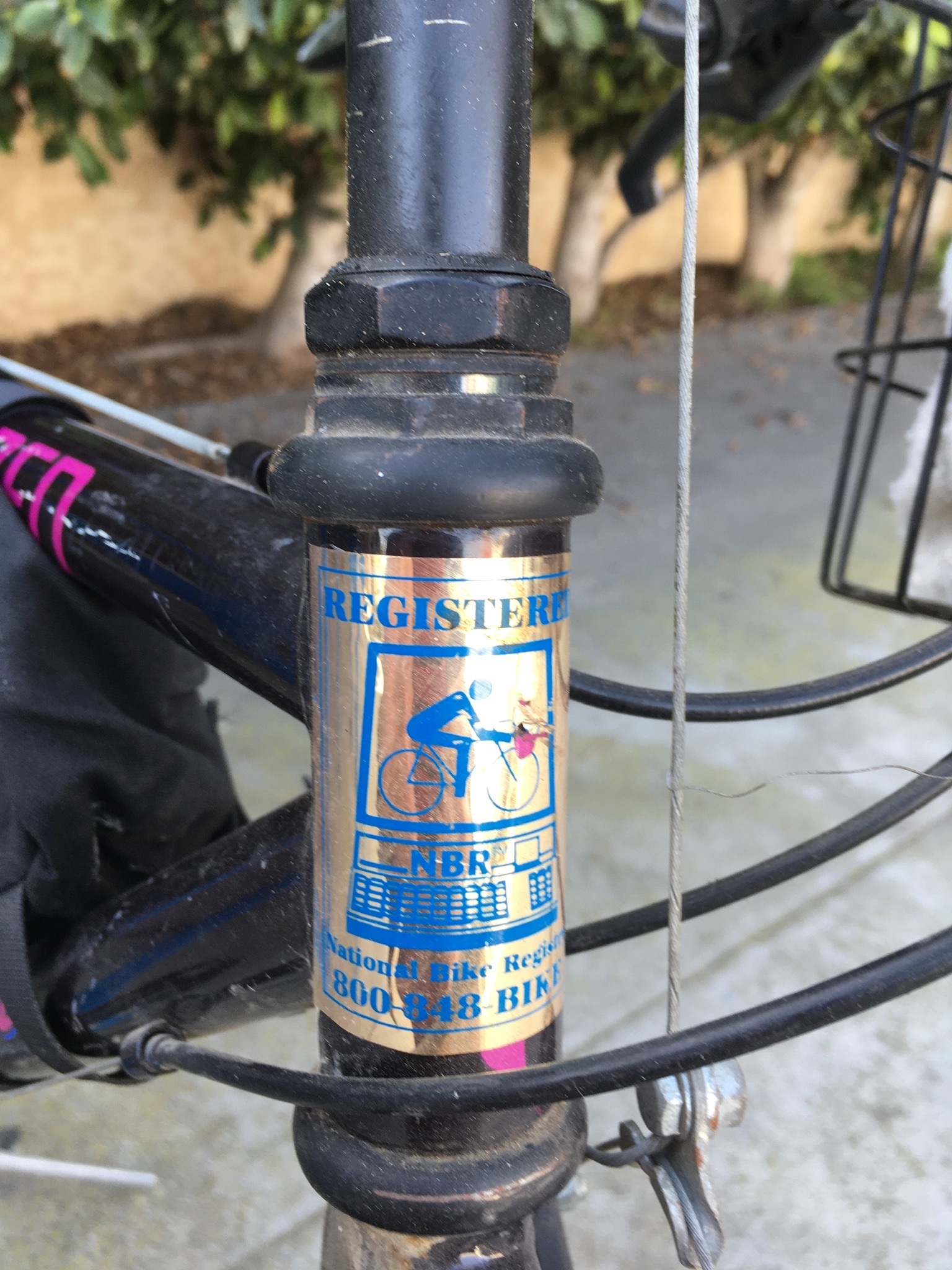 2000 Specialized Cross Roads