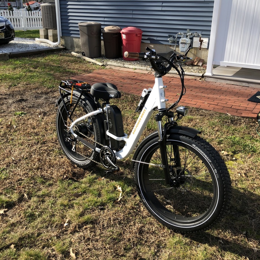 2020 Rad Power Bikes RadRover Step Thru