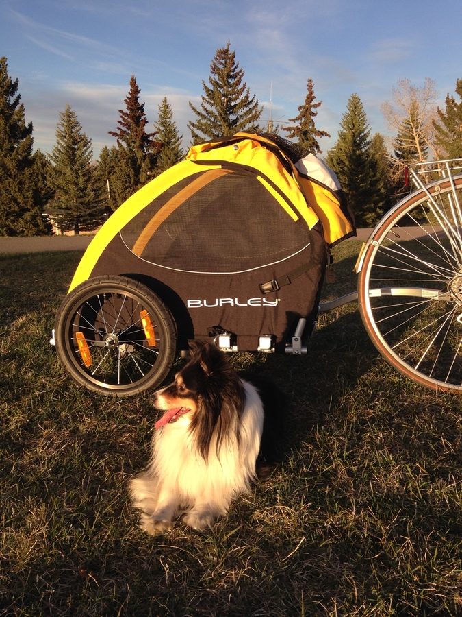2017 Burley Design Tailwagon bike trailer