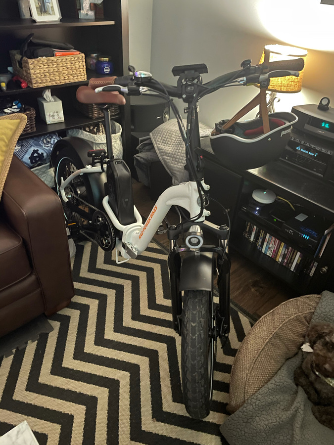 2020 Rad Power Bikes RadMini Step-Thru 2