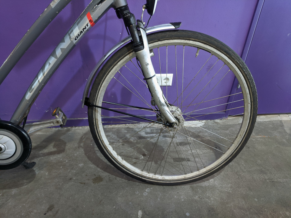 Giant Cosmo CS2