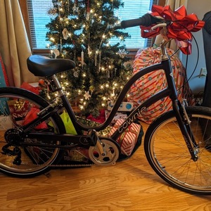 2020 Electra Townie 7D Step Through