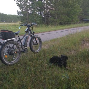 2018 Rad Power Bikes JB-TDE00Z